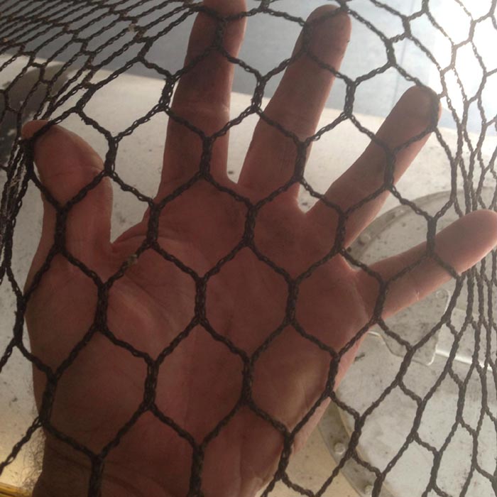 Bird Proof Netting For Sale Online - Shop Now for Garden Netting